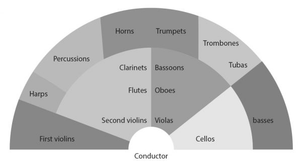 What are the differences between a violin and a viola?